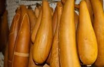 Latin Music History: The Maracas Indigenous Origins - Latino Music Cafe